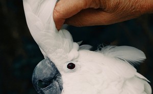 All Stories by Daniel Engber - The Atlantic