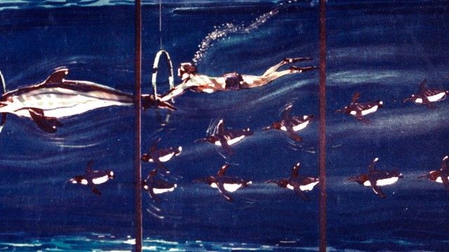 The Fantastical Vision for the Original SeaWorld - The Atlantic