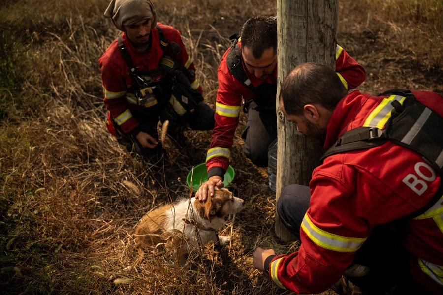 Photos of the Week: Moon Boats, River Waves, Heavy Leek - The Atlantic