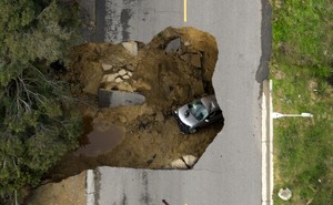 All Stories by Nancy Walecki - The Atlantic