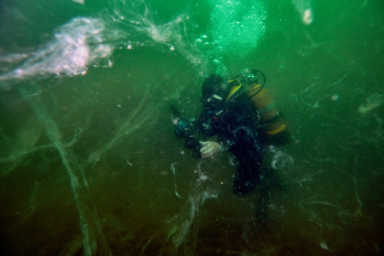 Why Turkey's Coast Is Covered in Sea Snot - The Atlantic