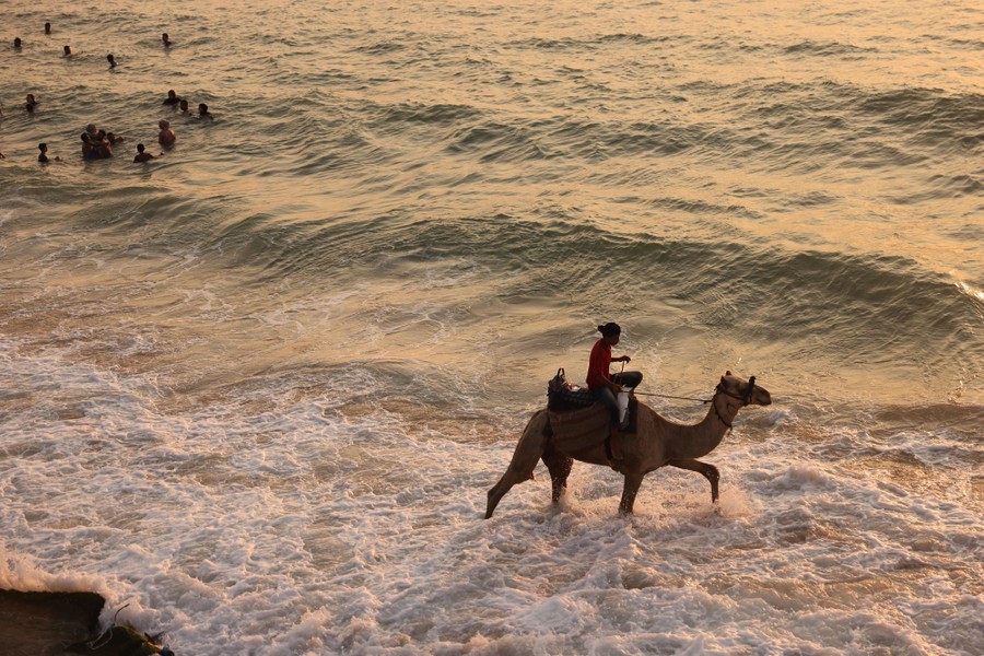 Photos of the Week: Sun Deck, Shot Put, Sloth Seat - The Atlantic