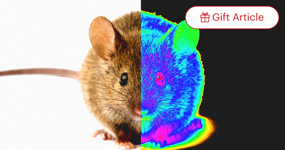 mouse invisible laser