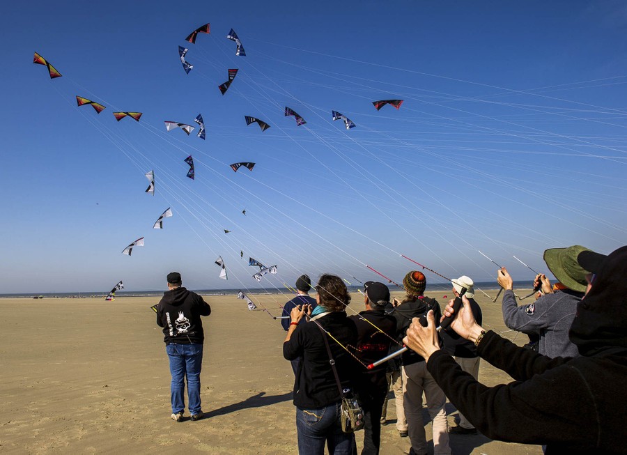 do kites fly in groups