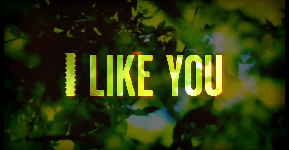 Distilled Happiness in 'Hello, I Like You' - The Atlantic