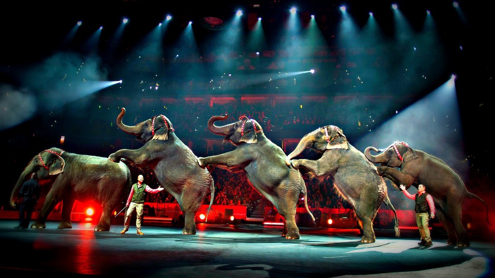 Ringling Brothers and Barnum & Bailey Circus to Stop Elephant Acts by ...