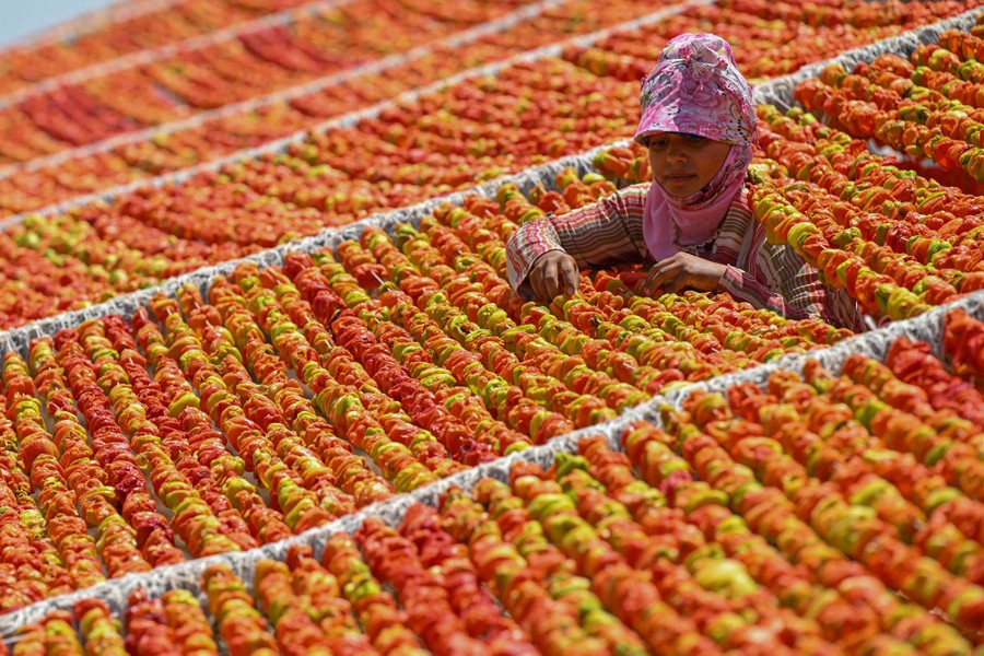 Photos of the Week: Gruffalo Maze, Panama Swing, Luminous Mane - The ...