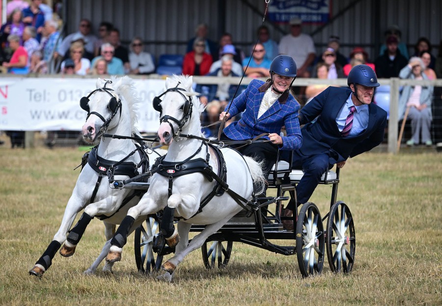 Photos of the Week: Drum Major, Ox Catch, Ferret Race - The Atlantic