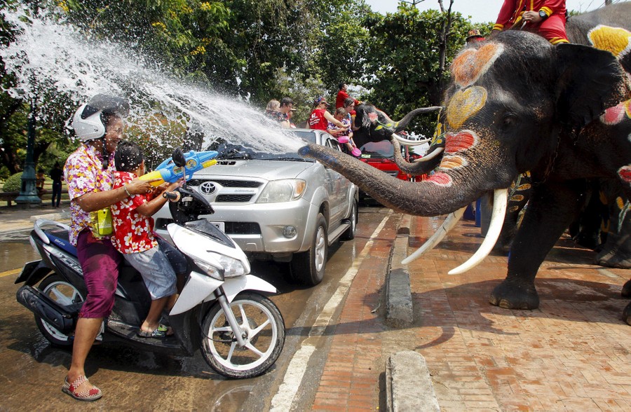 World Elephant Day - The Atlantic