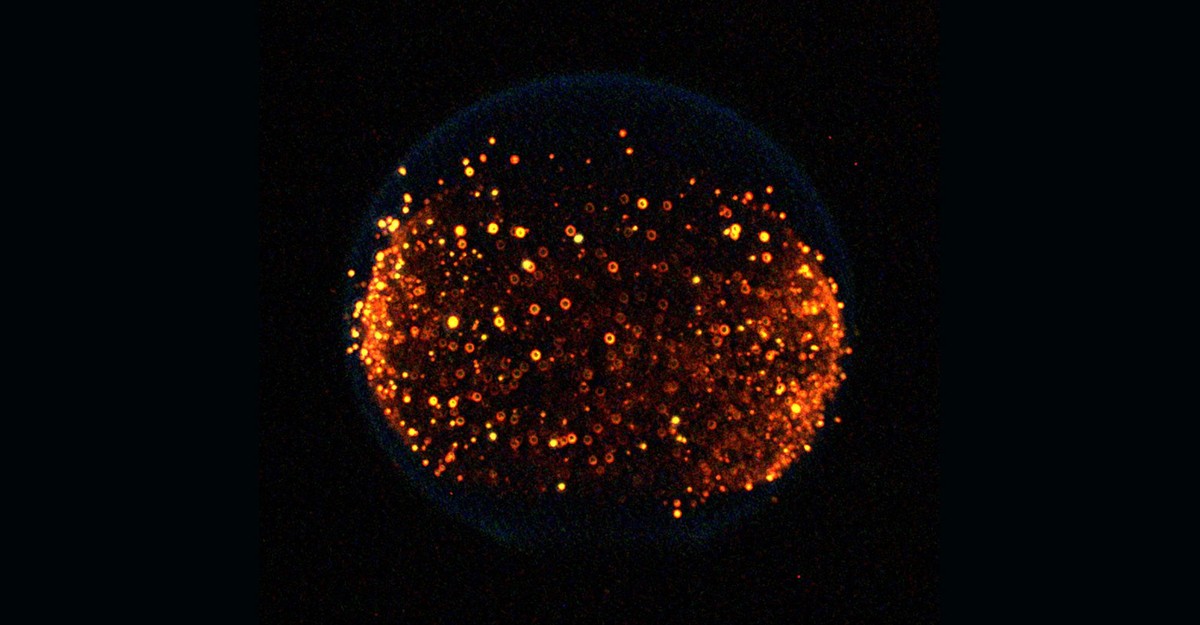 NASA Astronauts Play With Fire for Science - The Atlantic