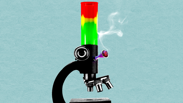 Marijuana’s Health Effects Are About to Get a Whole Lot Clearer - The ...