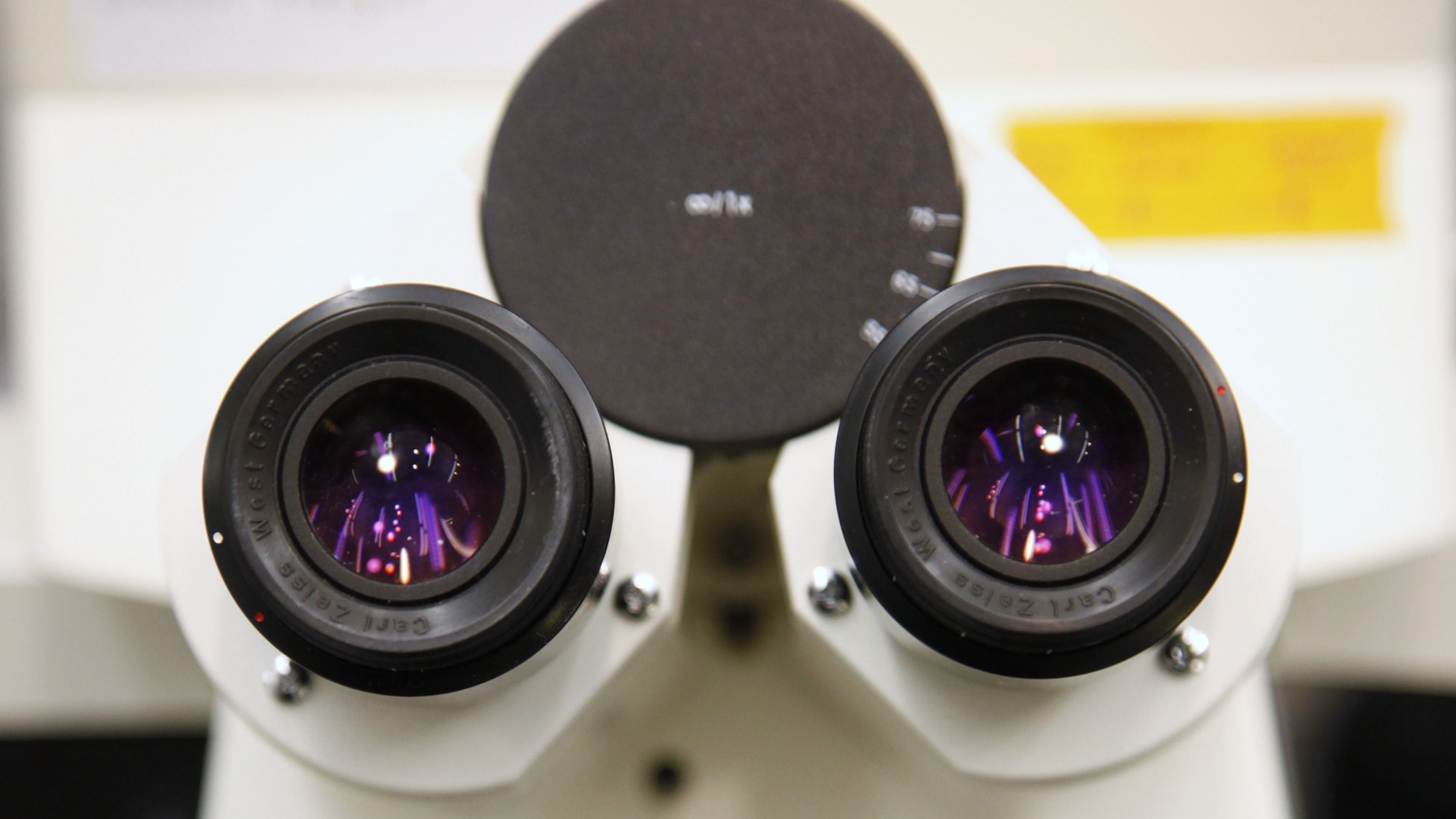 How the Microscope Redefined the Fact - The Atlantic