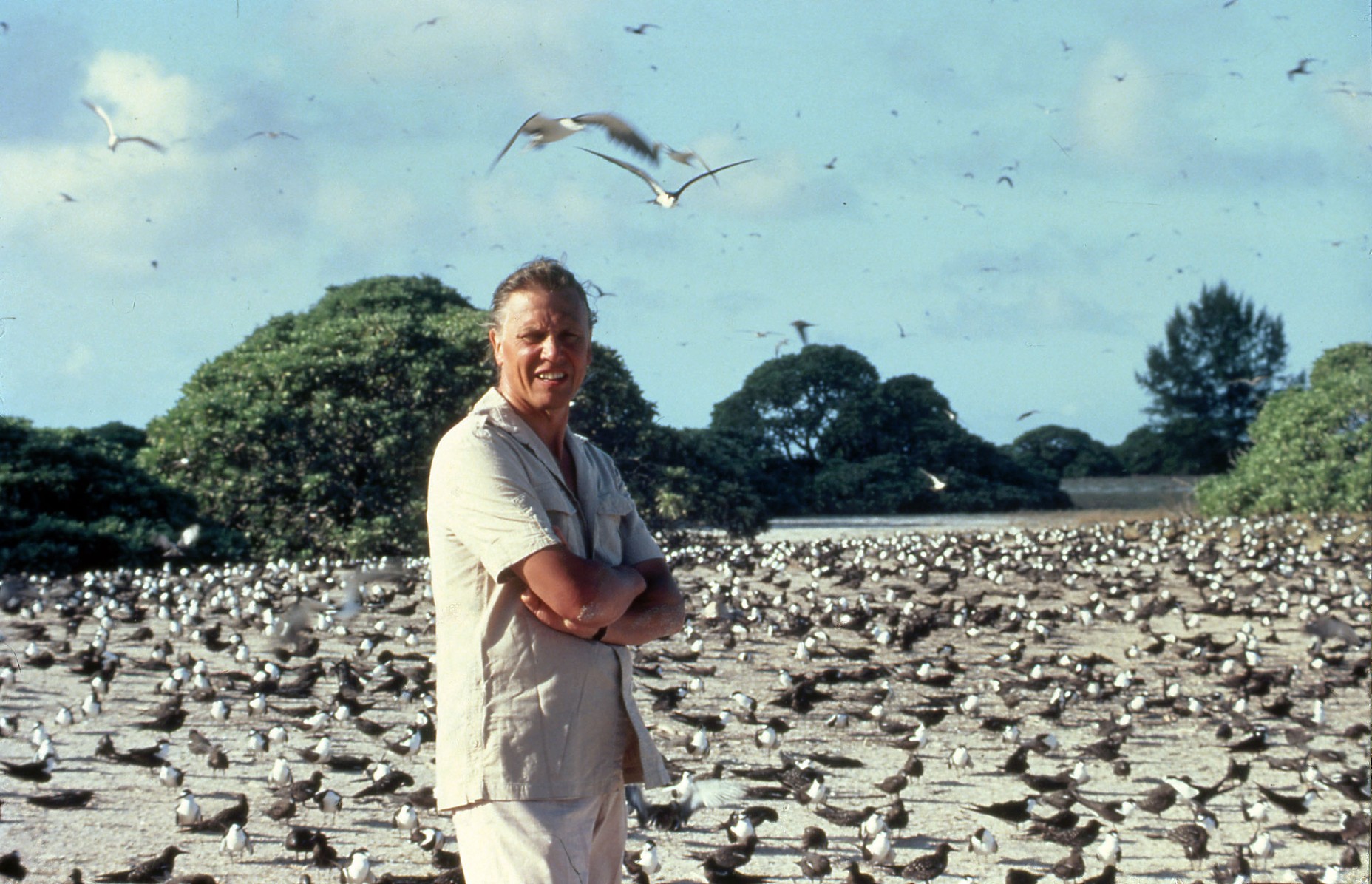 Every Episode of David Attenborough’s Life Series, Ranked - The Atlantic