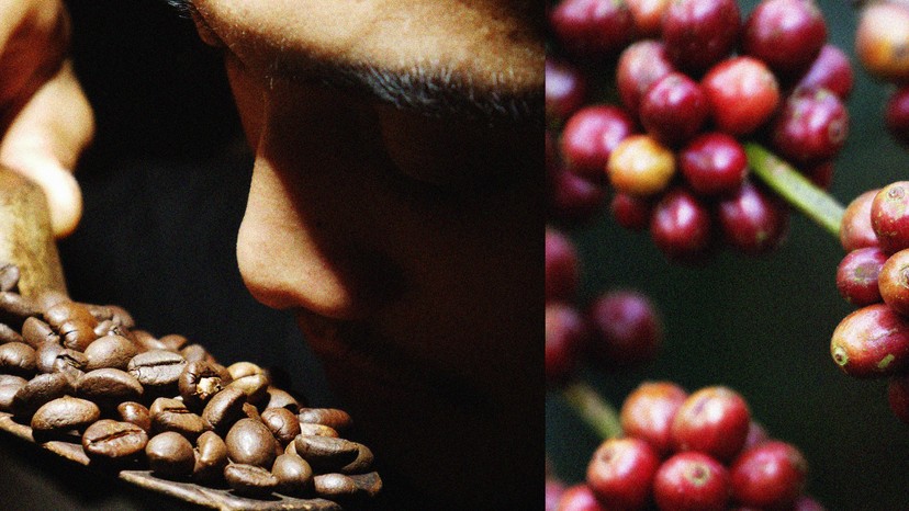 The Quest to Make the Best Worst Cup of Coffee - The Atlantic