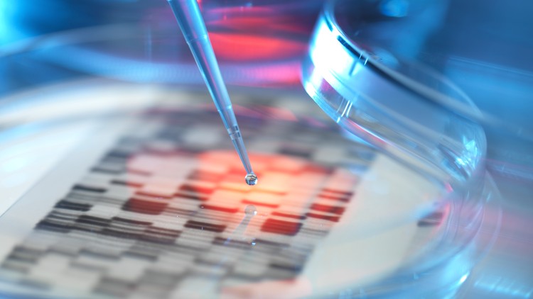 What Can You Actually Do With Your Fancy Gene-Editing Technology? - The ...