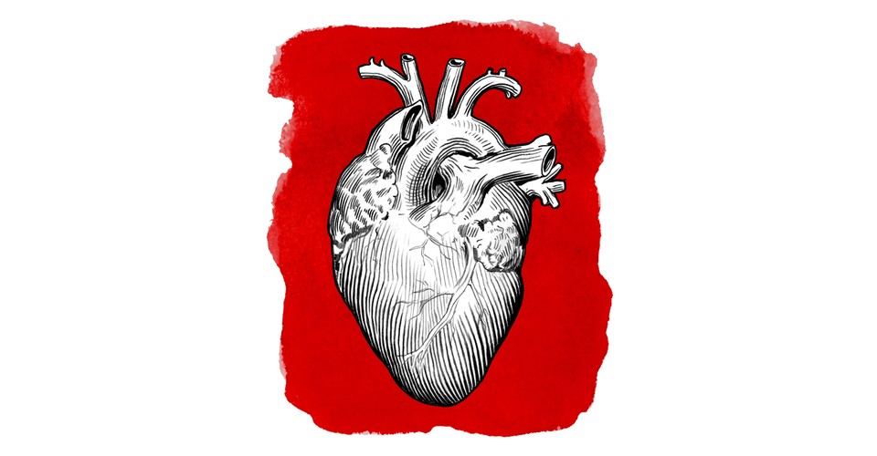 The Heart Can Keep Beating After Death - The Atlantic
