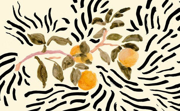 All Stories by Maxine Kumin - The Atlantic