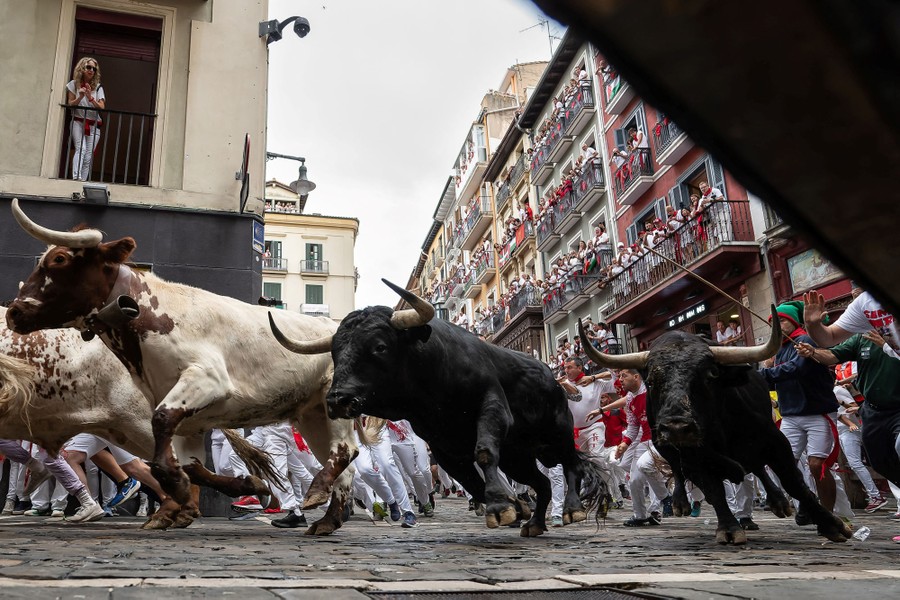 Photos: The Running of the Bulls 2024 - The Atlantic