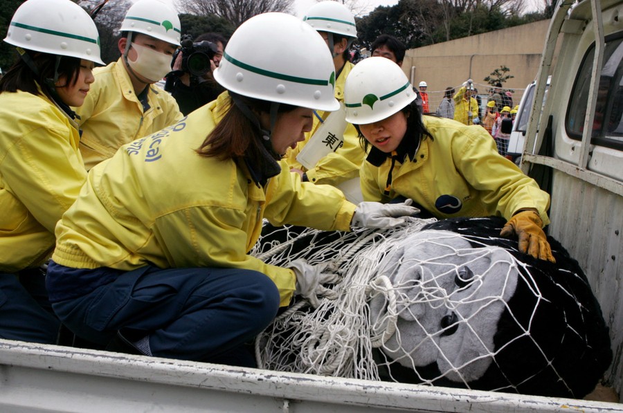 Zoo Security Drills: When Animals Escape - The Atlantic