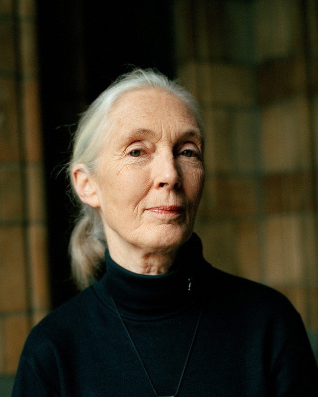Jane Goodall’s Second-Greatest Talent - The Atlantic