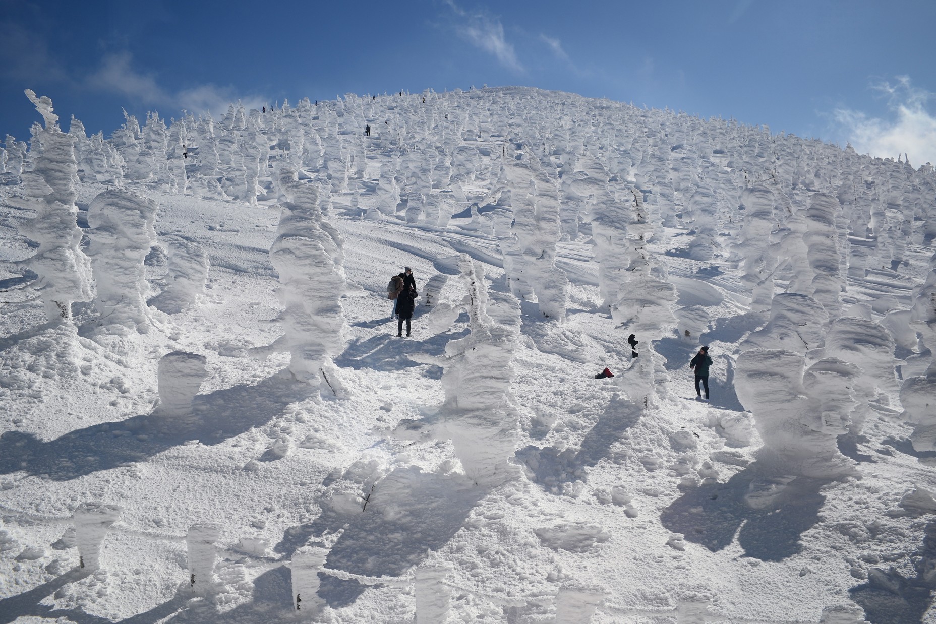 The Snow Monsters of Mount Zao - The Atlantic