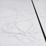 Miranda Featherstone, The Atlantic