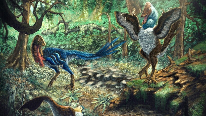 A ‘Chicken From Hell’ Could Rewrite the Story of the Dinosaurs’ Final ...