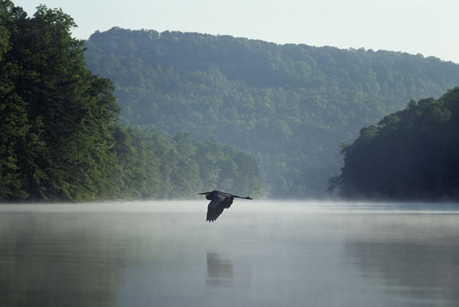 Alabama: Images of the Yellowhammer State - The Atlantic