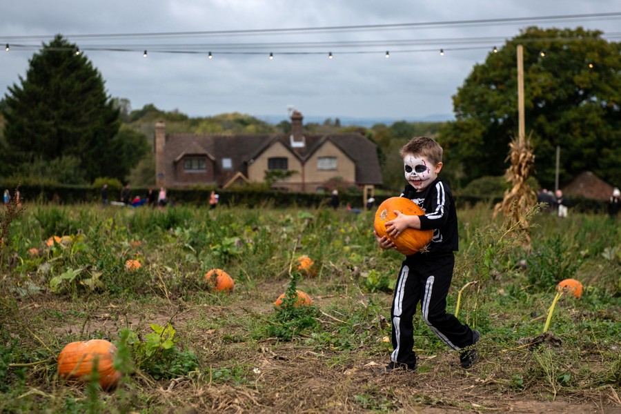Fall Is in the Air: Images of the Season - The Atlantic