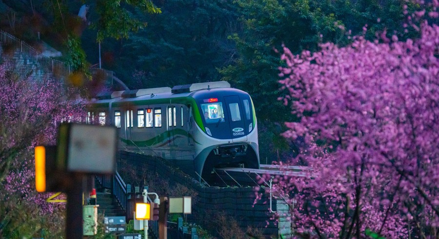 Photos: Spring in Bloom - The Atlantic