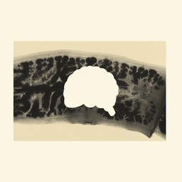 Who Really Has Brain Worms? - The Atlantic