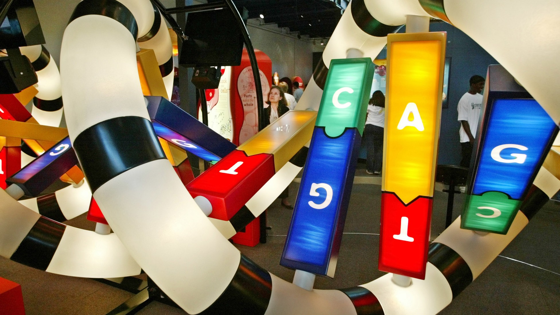Now That We Can Read Genomes, Can We Write Them? - The Atlantic