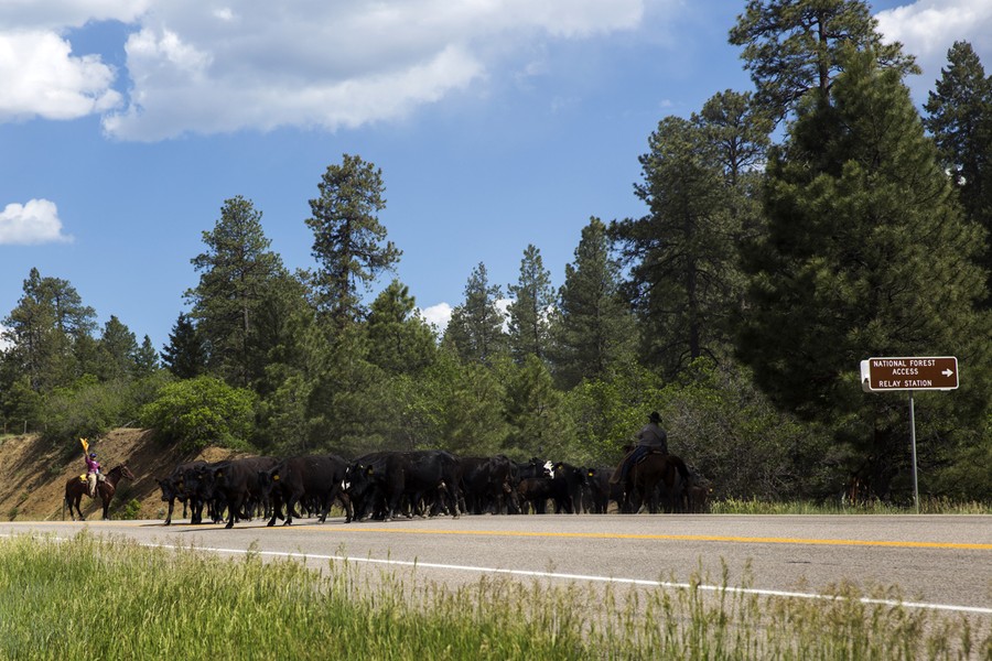 Sustainable Ranching in Colorado - The Atlantic