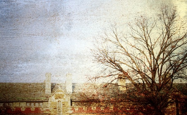 All Stories by David Cutler - The Atlantic