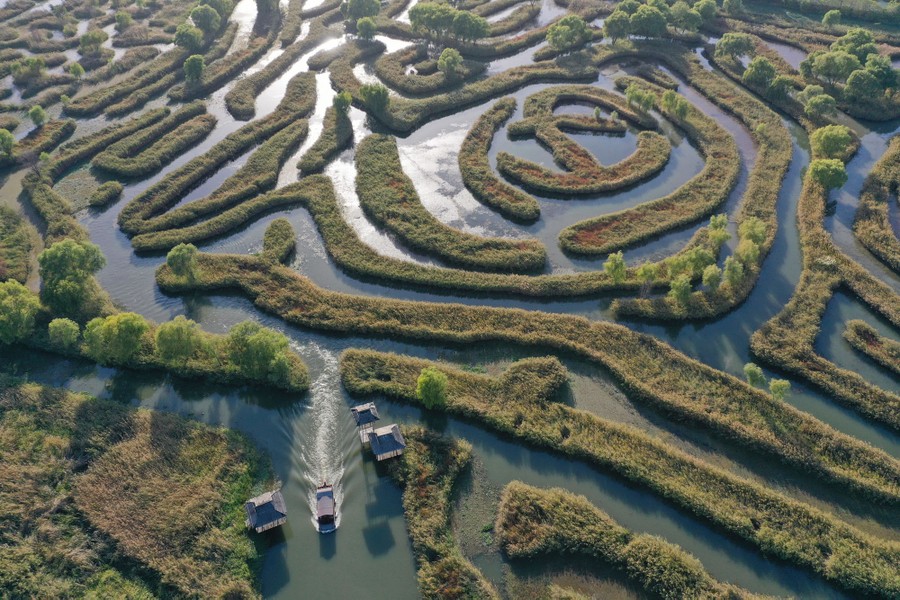 Photos of the Week: Watery Labyrinth, Giza Necropolis, Wuhan Opera ...