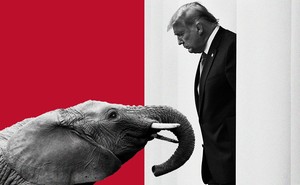 All Stories by Peter Wehner - The Atlantic