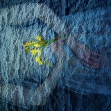 Franny Choi, The Atlantic