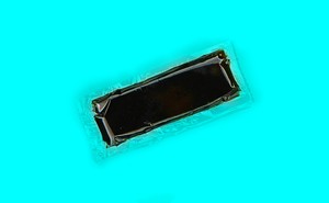 All Stories by Tanya Basu - The Atlantic