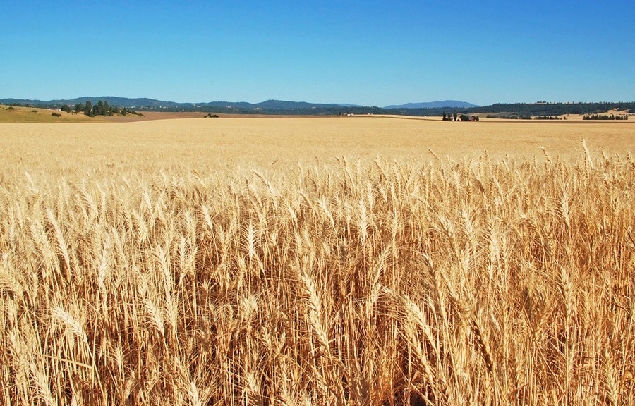 Washington: Images of the Evergreen State - The Atlantic