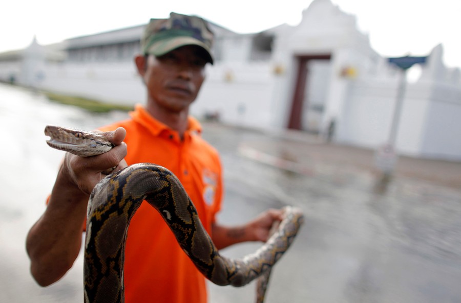 Thailand Floods Pass Their Peak - The Atlantic