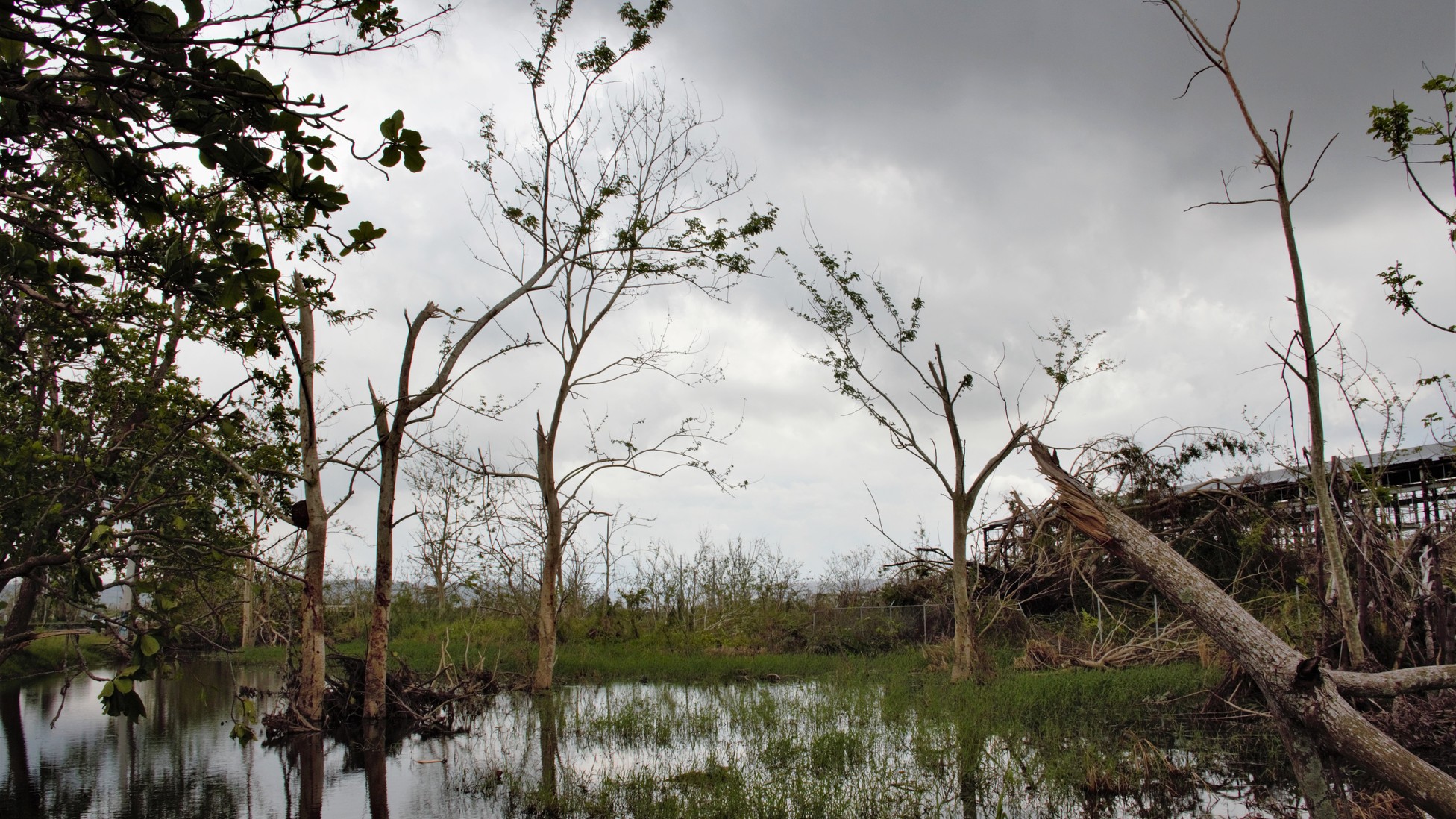 Puerto Rico's Environmental Catastrophe - The Atlantic