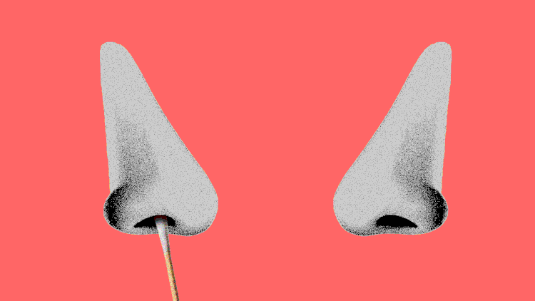 Is Sharing a COVID Test a Bad Idea, or Just a Gross One? - The Atlantic