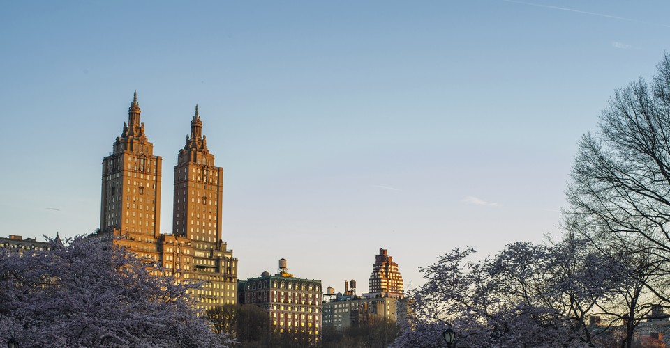 'Asymmetry' Review: Lisa Halliday's Inventive Take on Literary ...