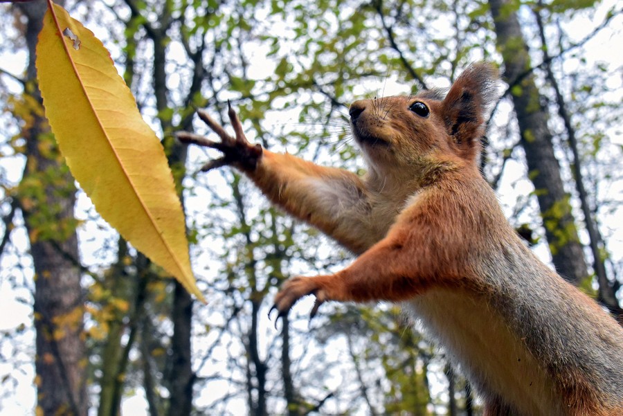 Photos: Autumn Colors and Autumn Chill - The Atlantic