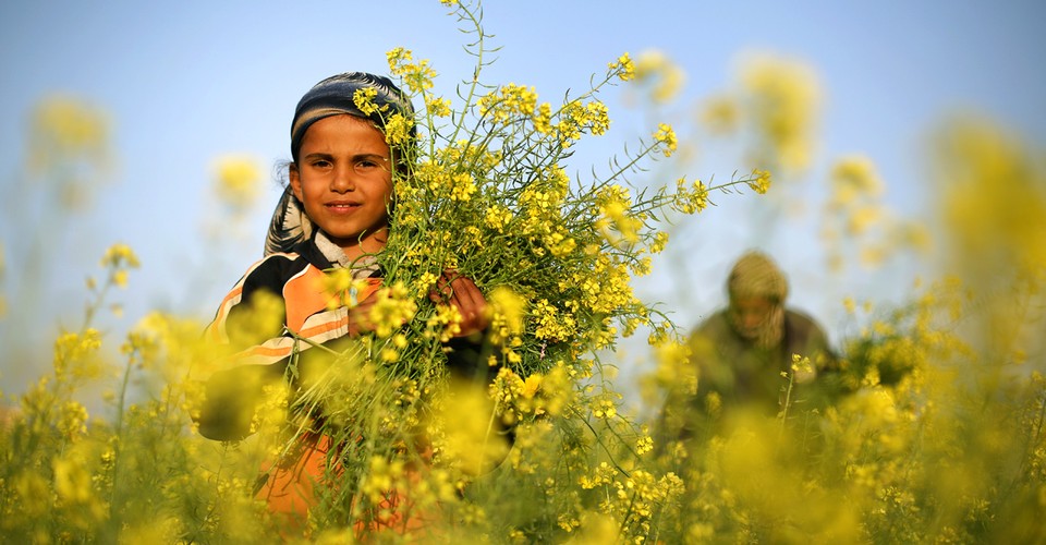 The First Day of Spring - The Atlantic