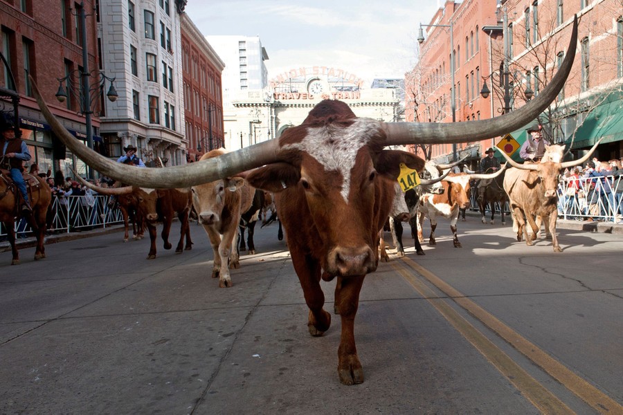 Colorado: Images of the Centennial State - The Atlantic