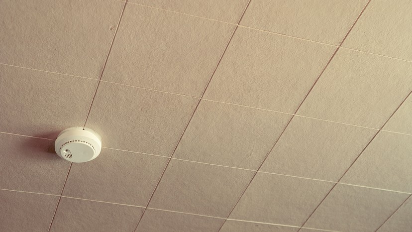 A Poem by Shara Lessley: 'Mutation: Factor V' - The Atlantic