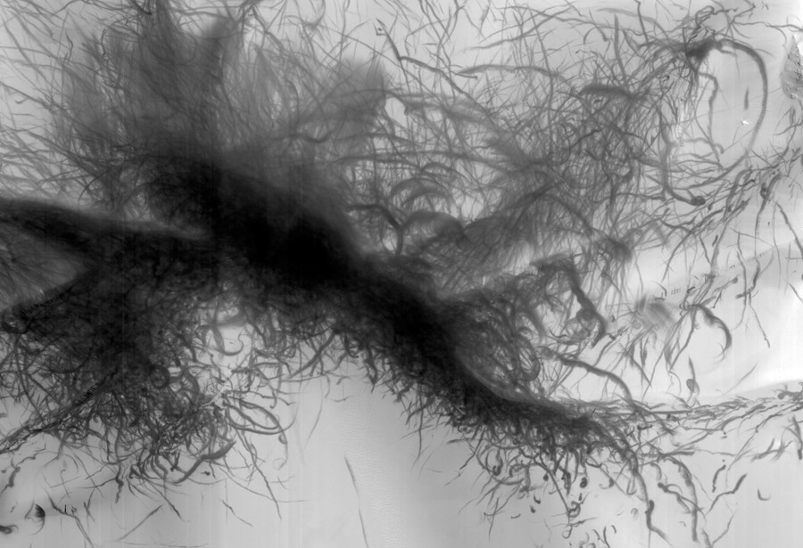 Photos: The Dust Devils of Mars - The Atlantic