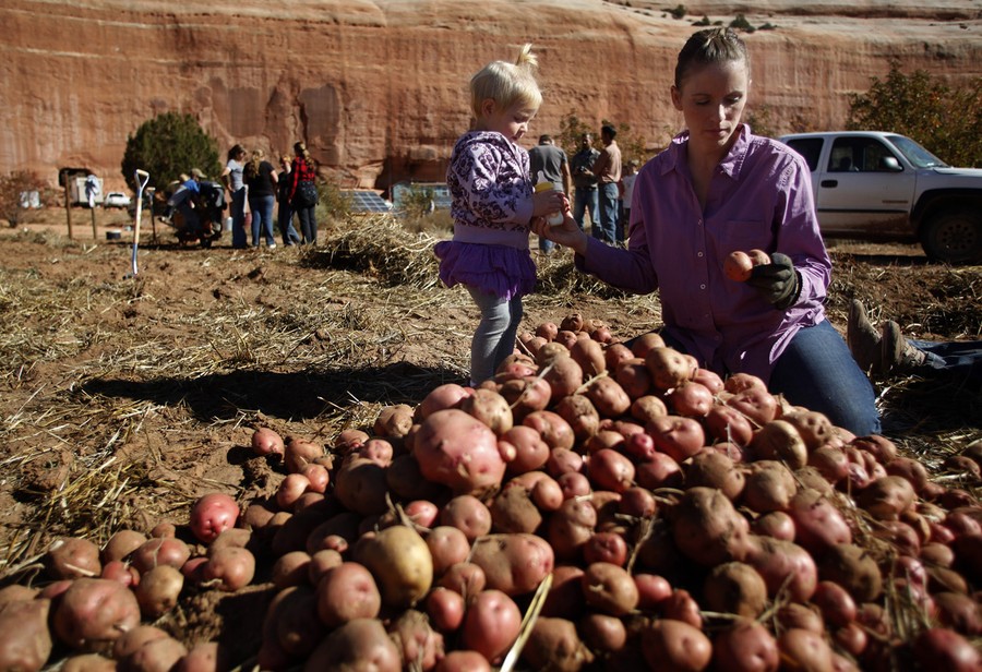 Polygamists in 'The Rock' - The Atlantic