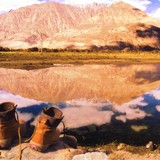 Amanda Machado, The Atlantic